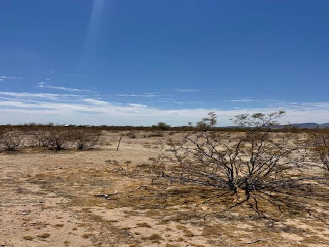 Land
