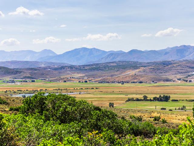 Land