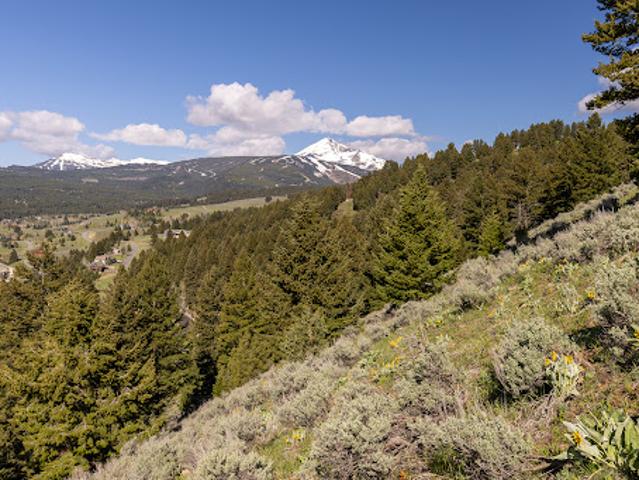Land