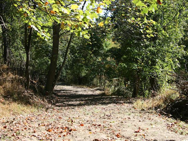Land