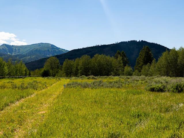 Land