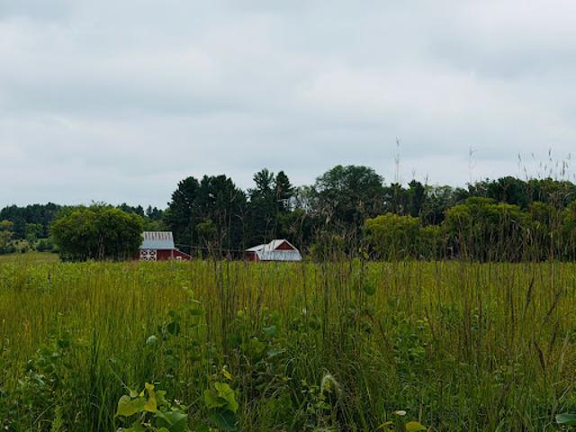 Land