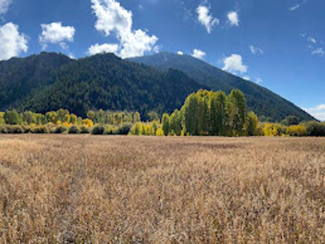 Land