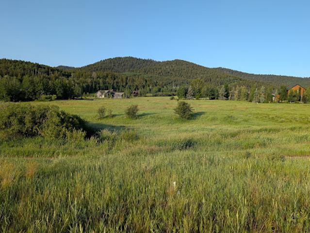 Land