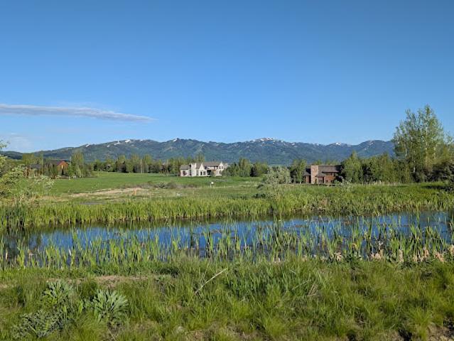 Land