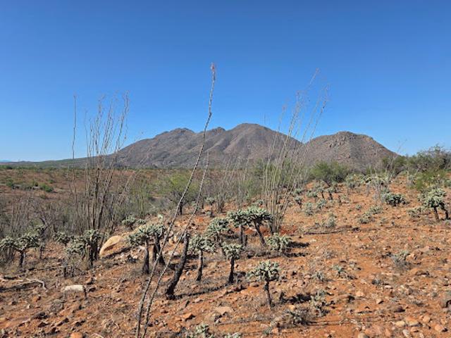 Land