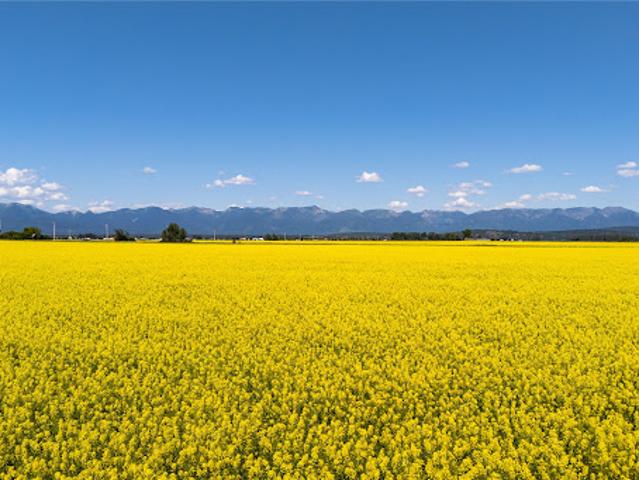 Land