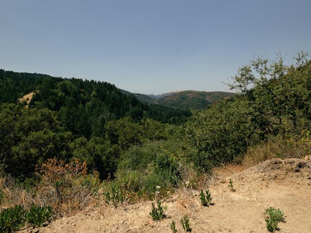 Land