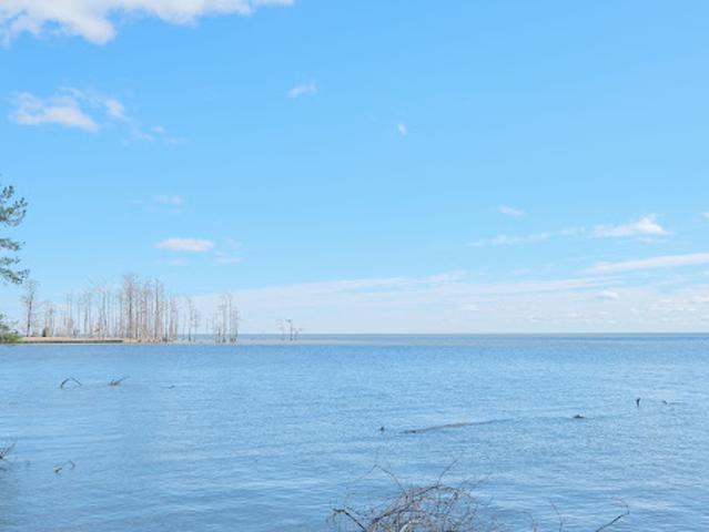 Land