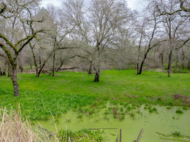 Land