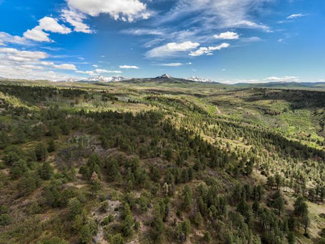 Land