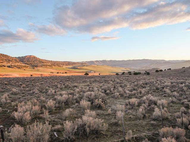 Land