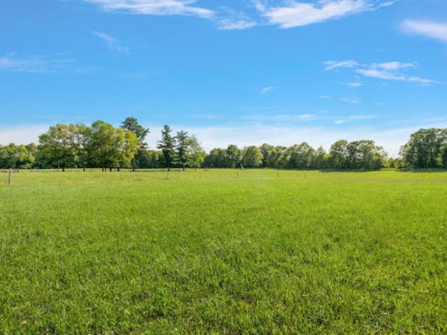 Land