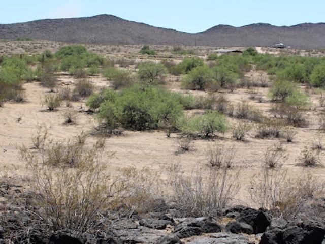 Land
