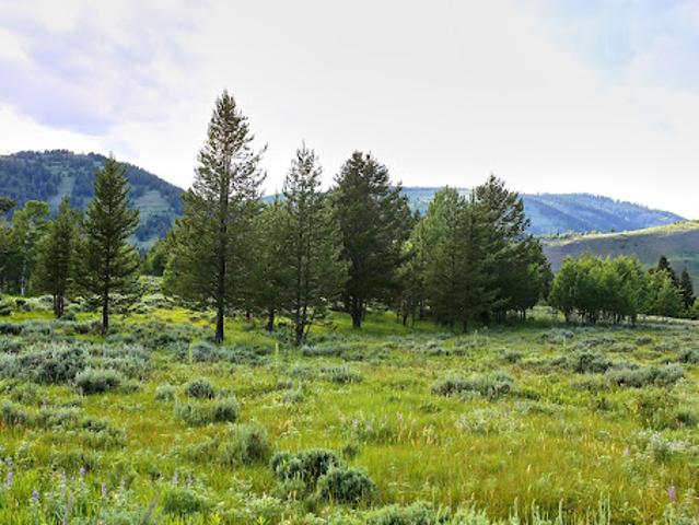 Land