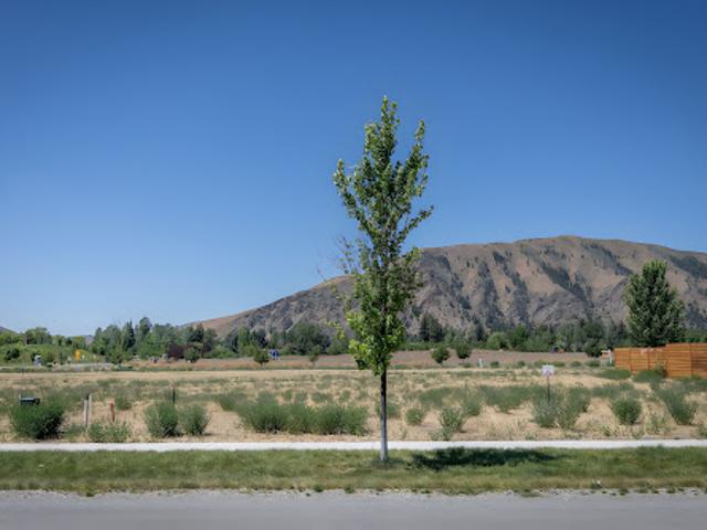 Land