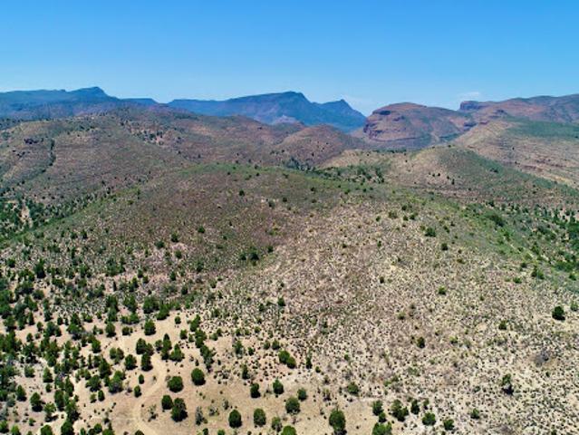Land
