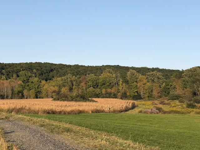 Land