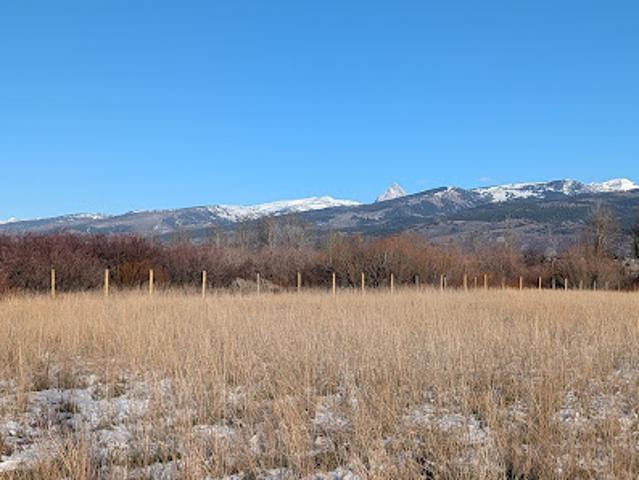 Land