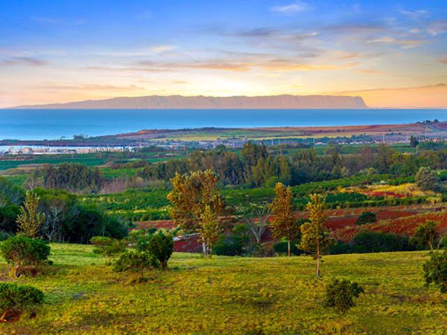Land