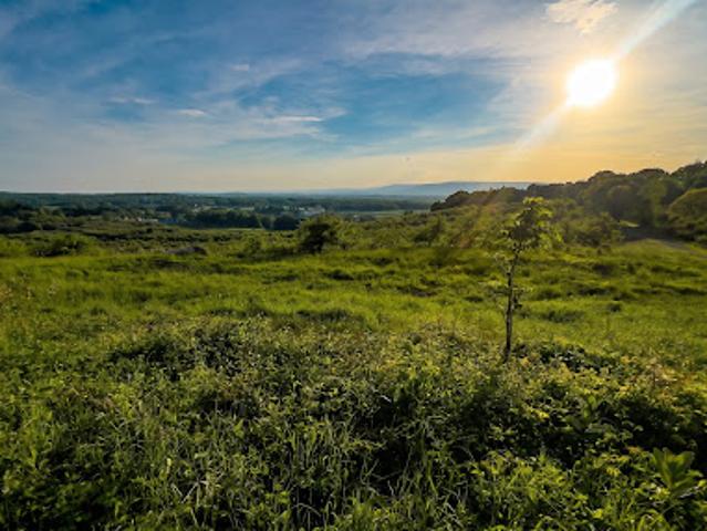 Land