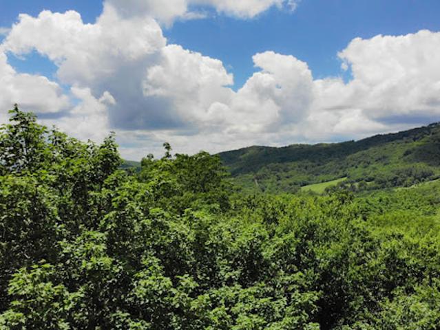 Land