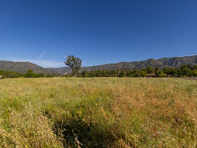 Land