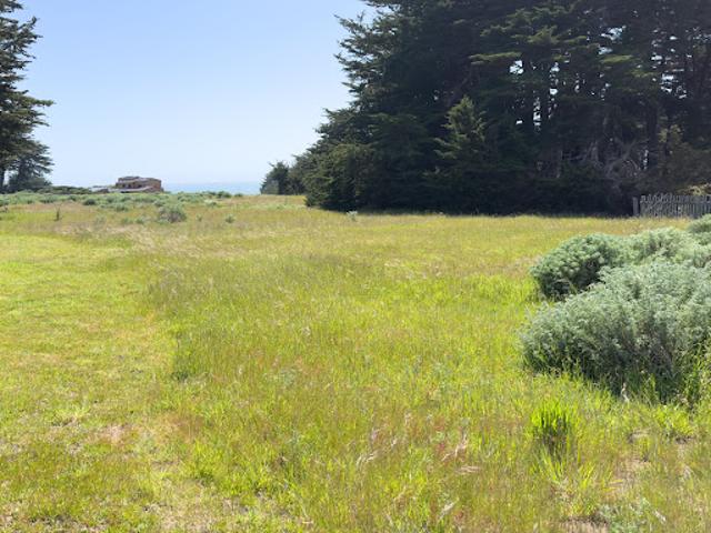 Land