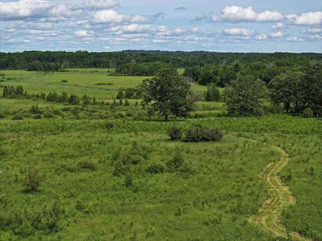 Land