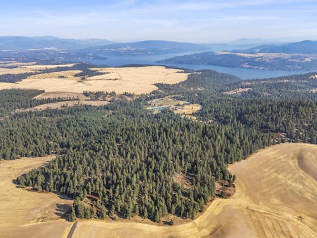 Land