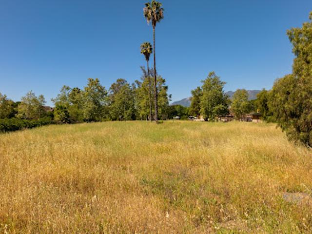 Land
