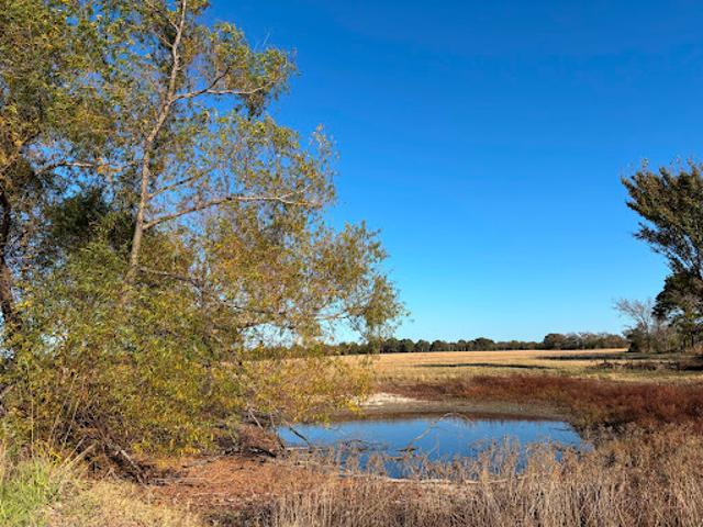Land