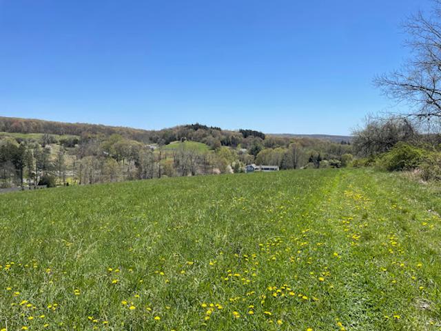 Land