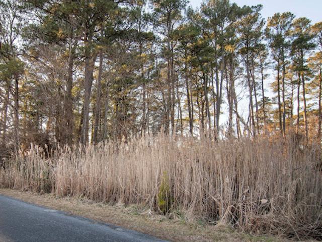 Land