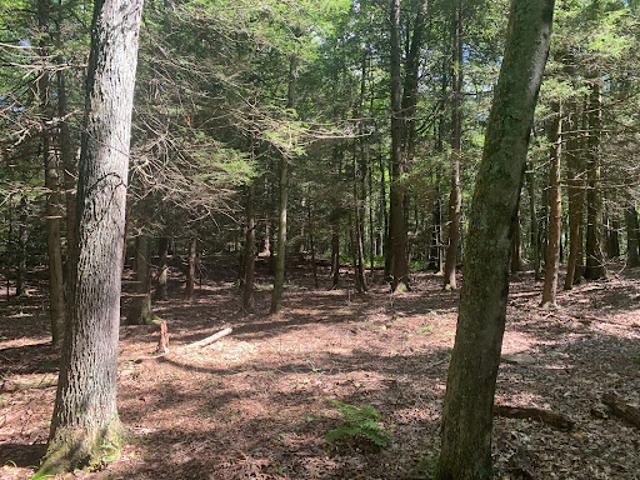 Land