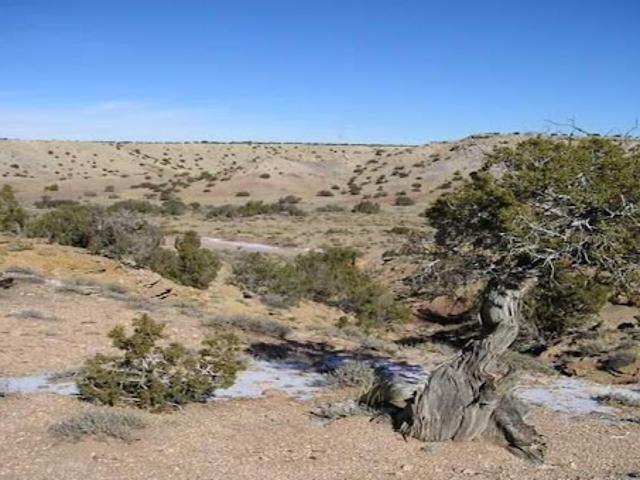 Land