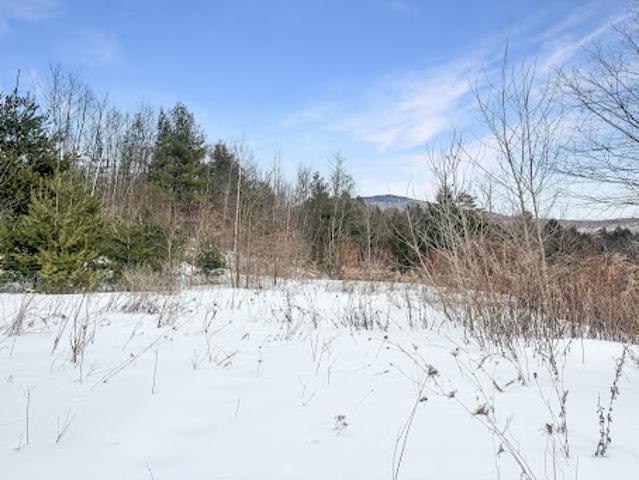 Land
