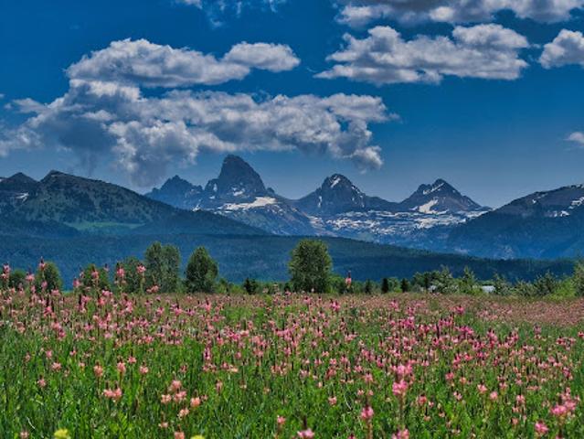 Land