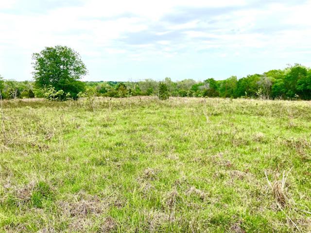Land