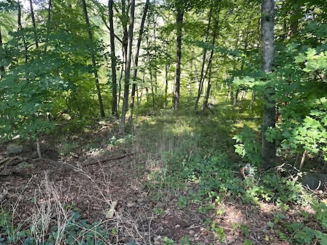 Land