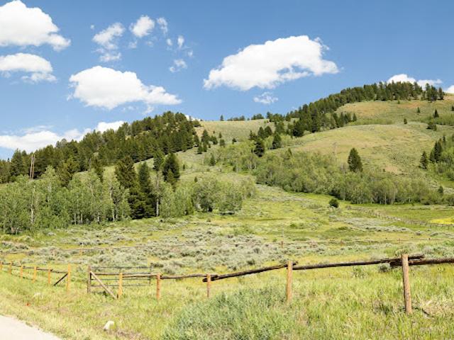 Land