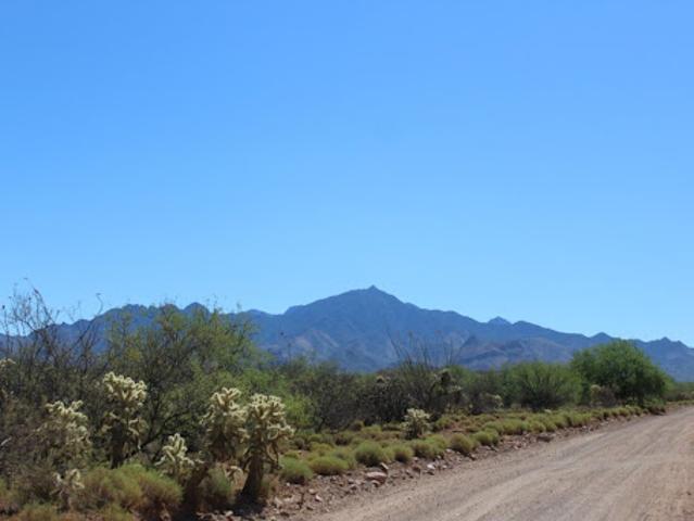 Land
