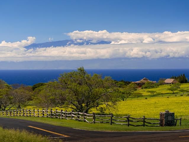 Land
