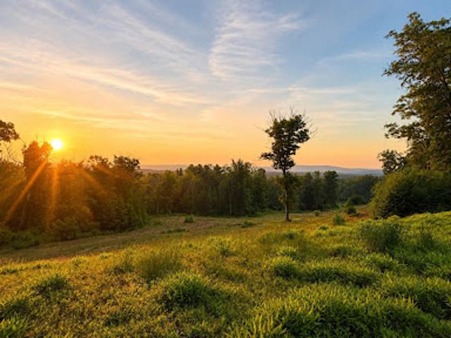 Land