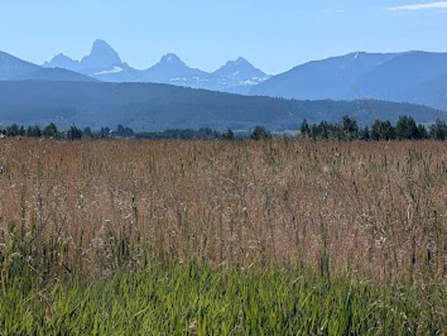 Land