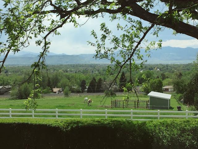 Land