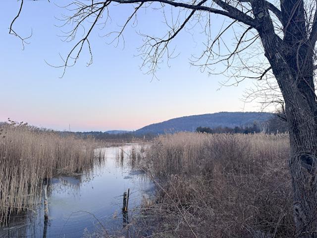 Land