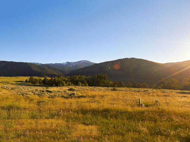 Land