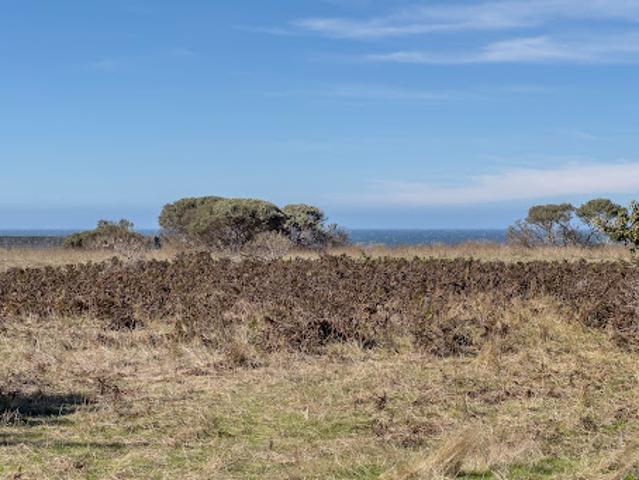 Land