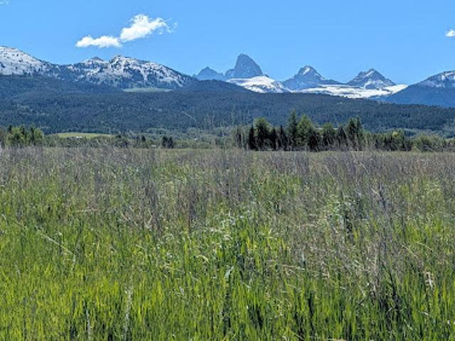 Land